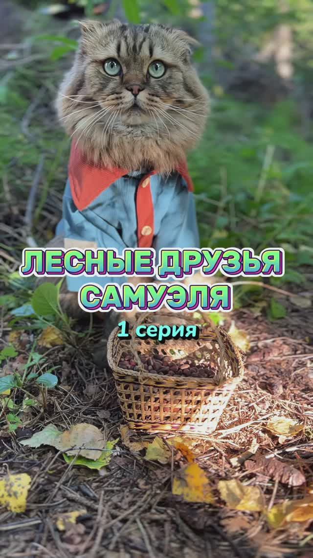 Ставь 👍, если хочешь увидеть продолжение!😻 #сериал #котики #животные