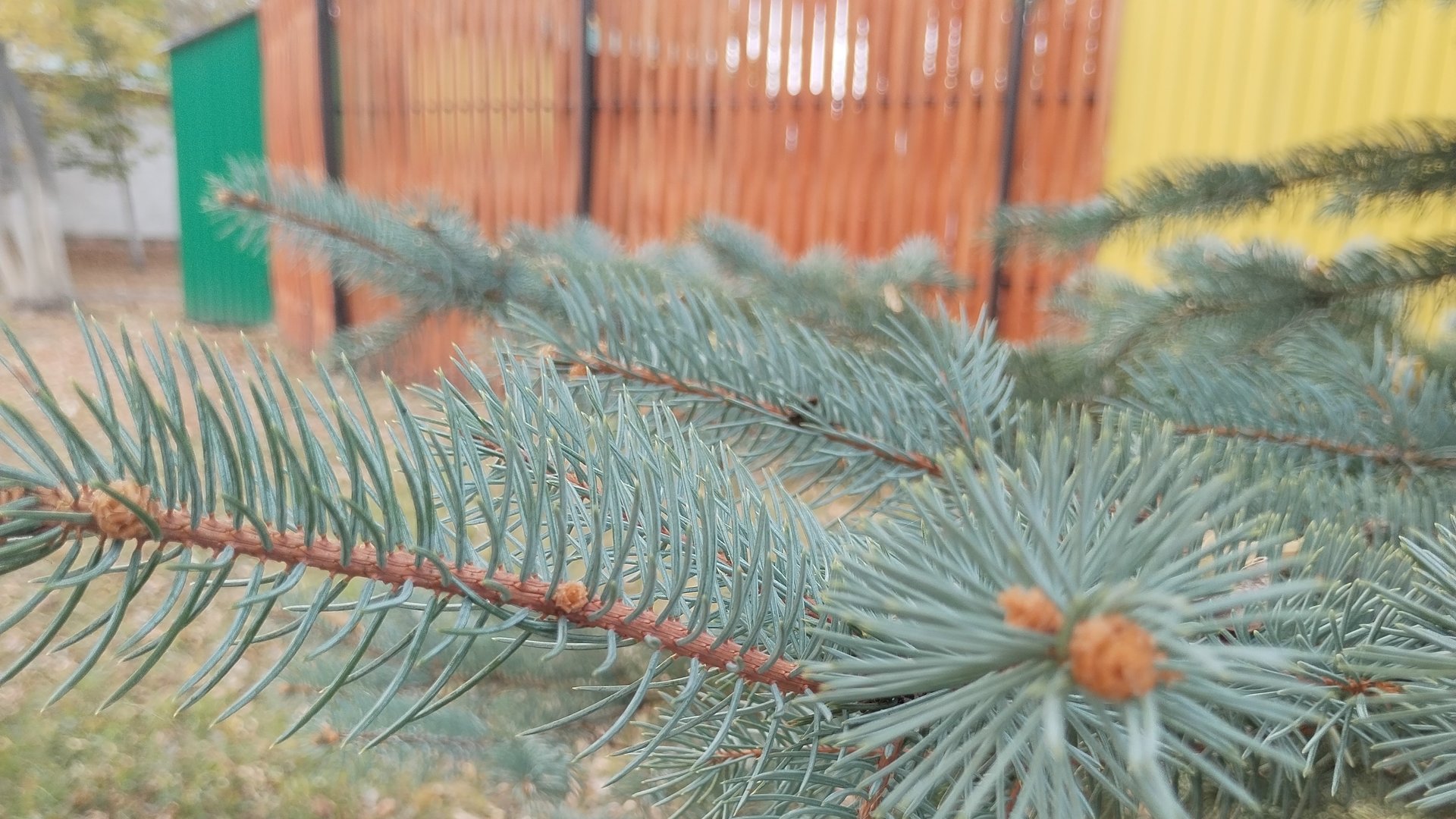 4.10.25 Он хочет быть звездой моего канала !