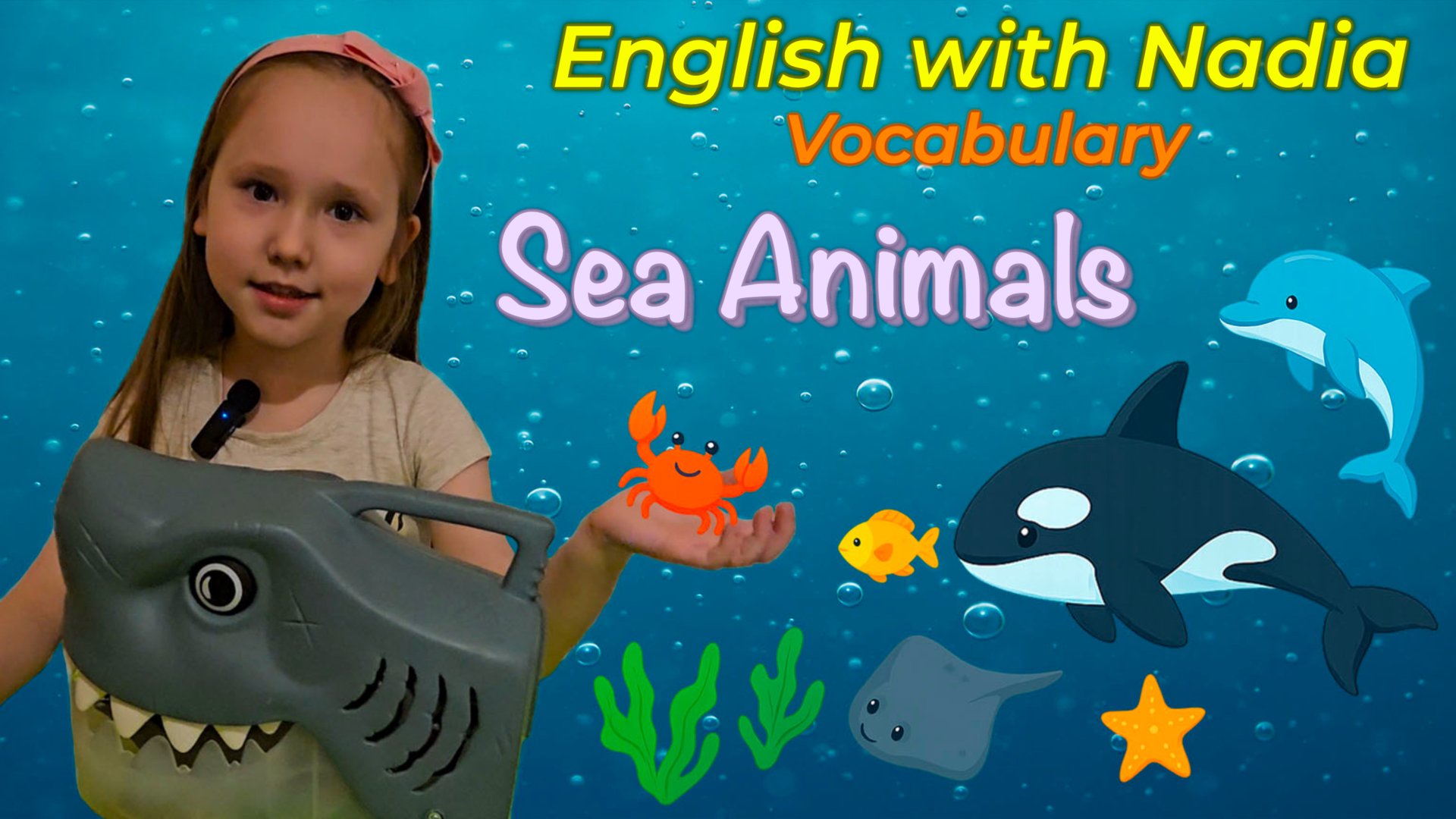 Sea Animals - Vocabulary Sea Animals / Морские животные - Лексика "Морские животные"