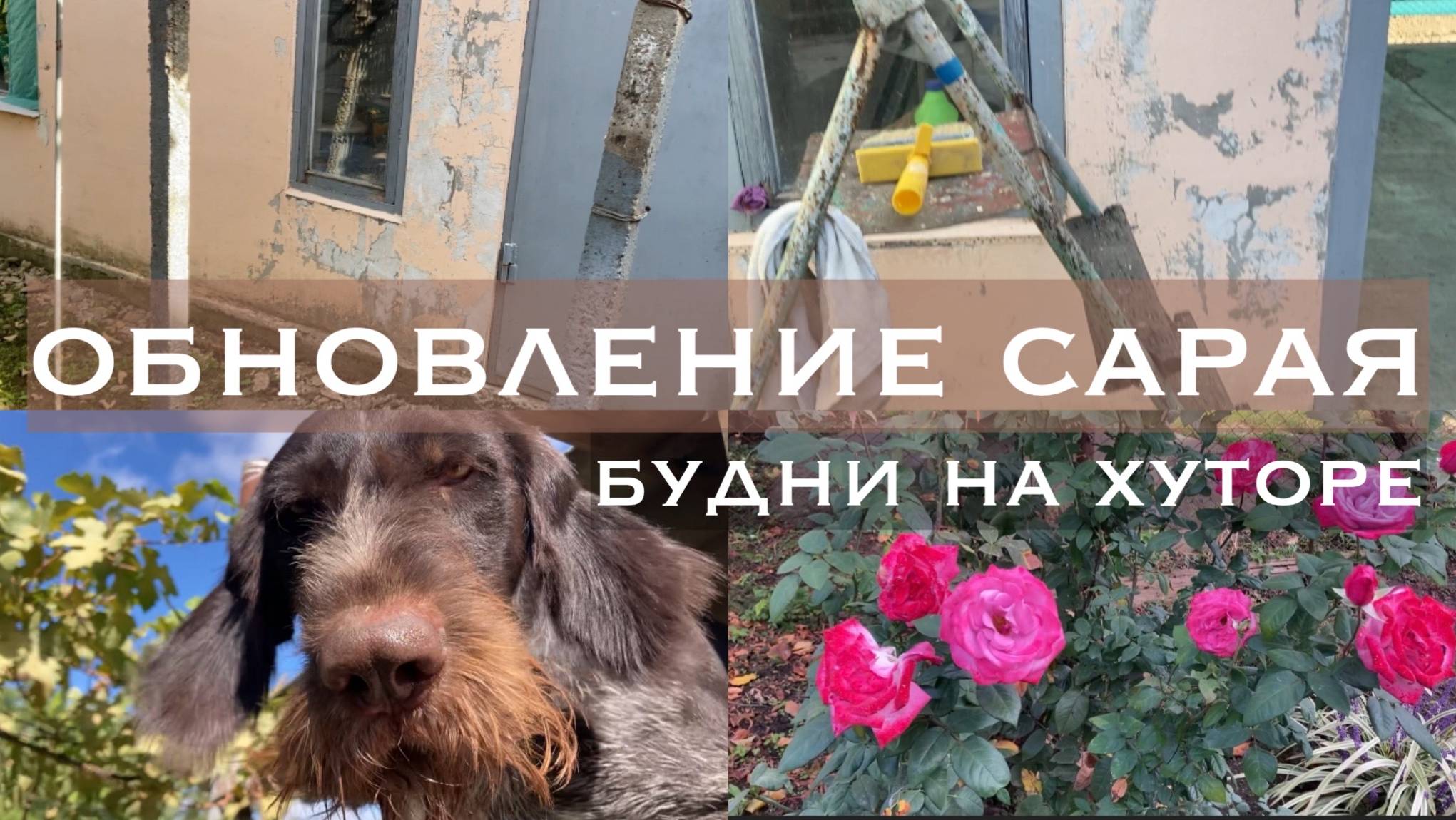 Адыгея /Жизнь на хуторе/ Наш маленький Рэй/ Покрасили к зиме /Процесс продолжается/