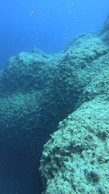 дайвинг в Каше, Турция