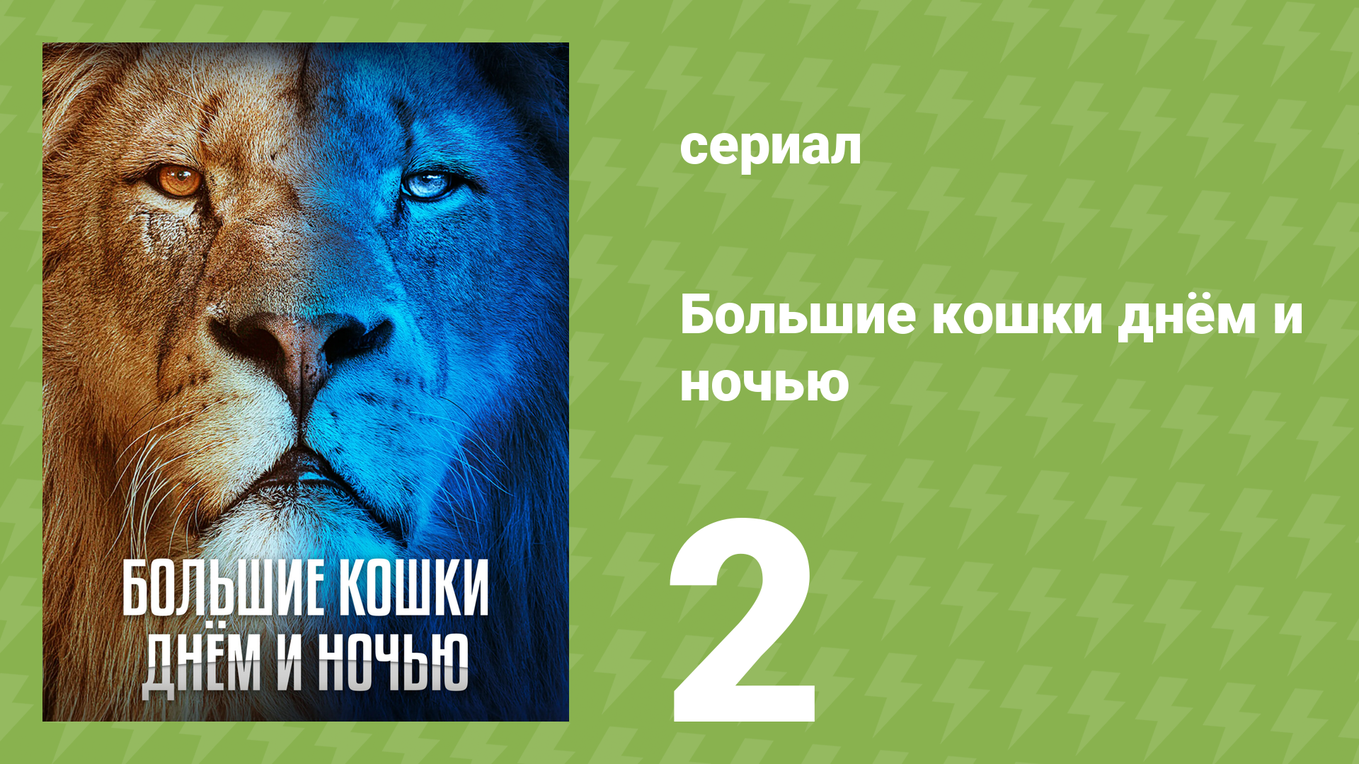 Большие кошки днём и ночью 2 серия (документальный сериал, 2024)