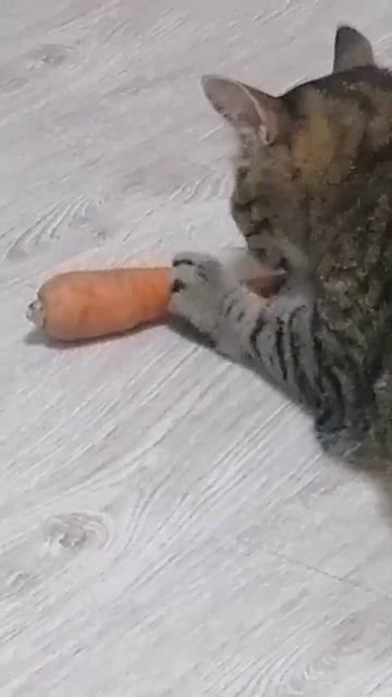 Это моя добыча!!!