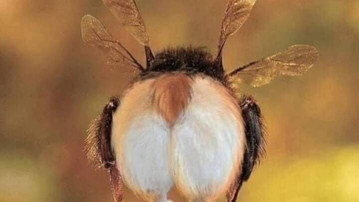 Рахложил и все забыл......!😆