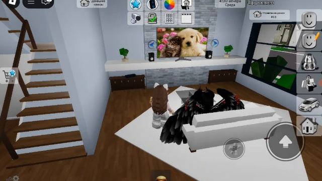 Я играю в роблоксе в Брук heaven