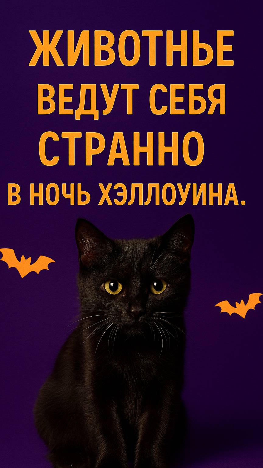 Животные и Хэллоуин: Правда или Миф? 🎃🐾