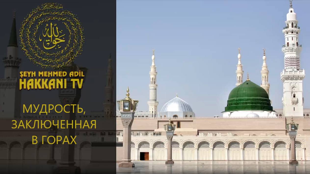 Мудрость, заключённая в горах