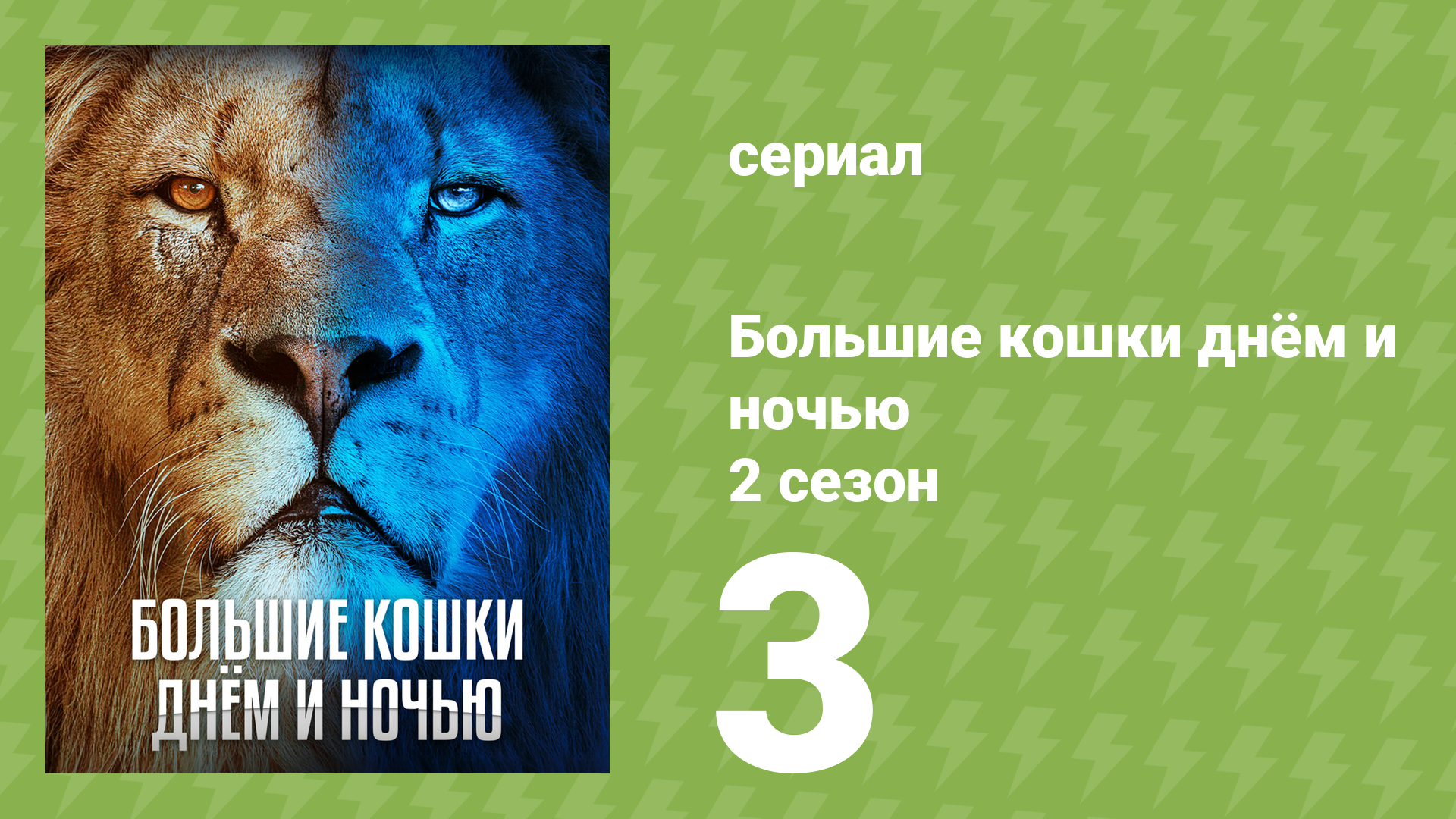 Большие кошки днём и ночью 2 сезон 3 серия «Разделённый прайд» (документальный сериал, 2025)
