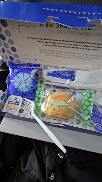 Чем кормит Belavia на борту