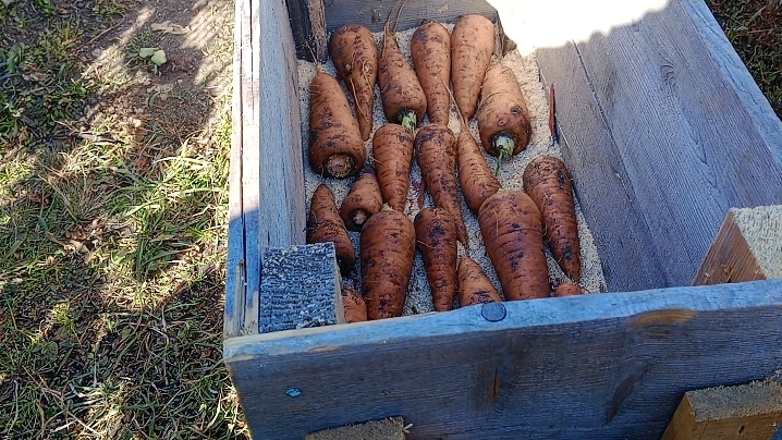Как мы храним 🥕🥕🥕 зимой.