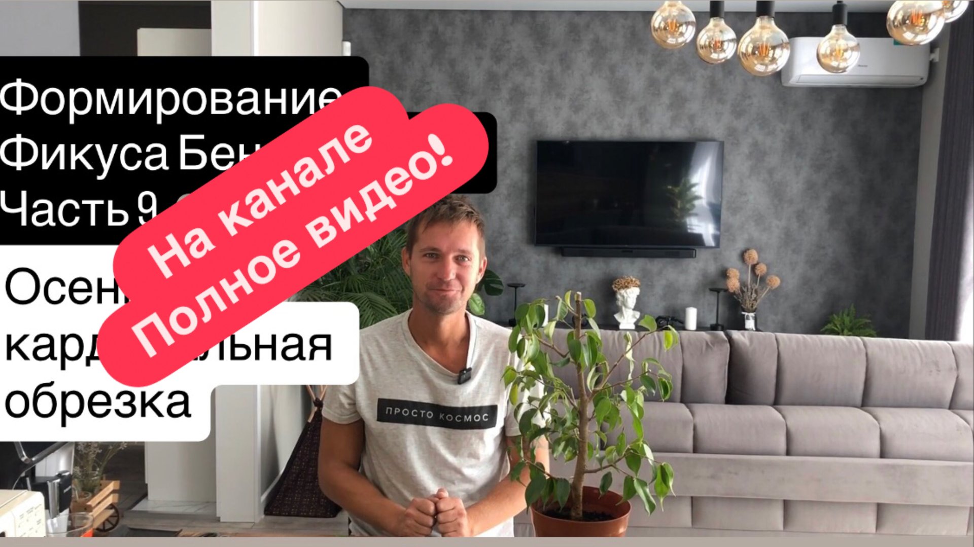 Обрезка Фикуса Бенджамина- полное видео смотри на канале
