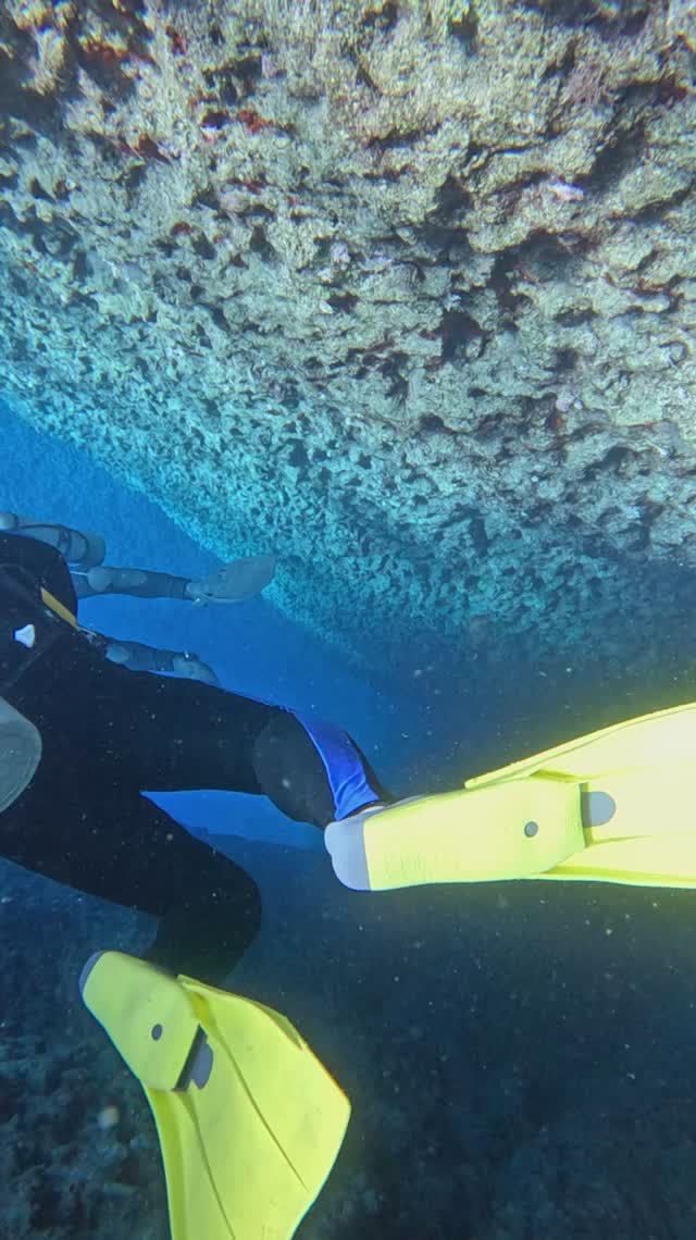 Каньон, Каш, дайвинг в Турции