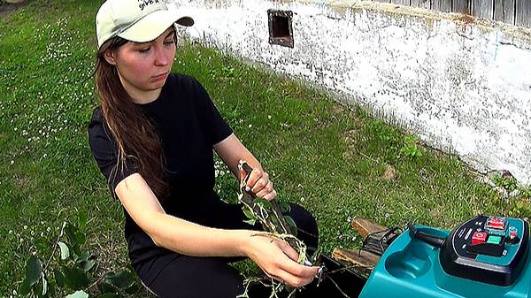 Вся РАБОТА в деревне ЗА 1 ДЕНЬ! 🤯 От огорода до щепореза.