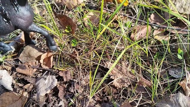 клип"Мой демон 🔥"