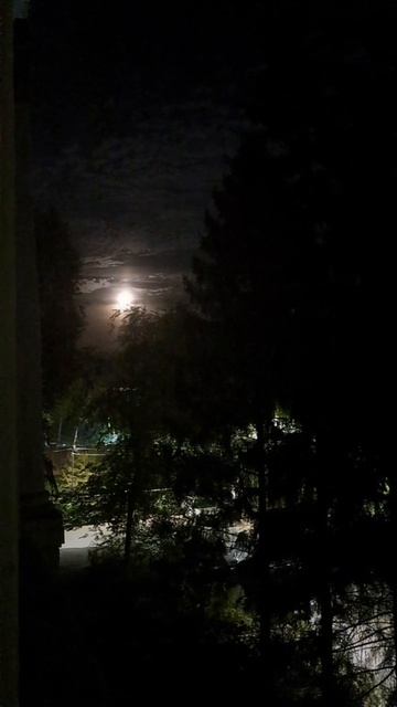 3940 кГц Русское Пиратское Радио 04.10.2025 (часть 3)