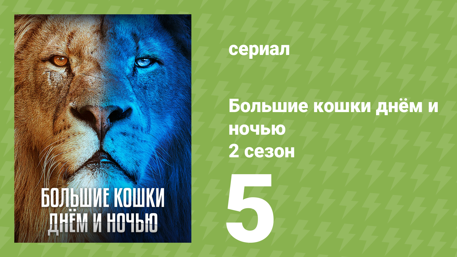 Большие кошки днём и ночью 2 сезон 5 серия «Новые начала» (документальный сериал, 2025)