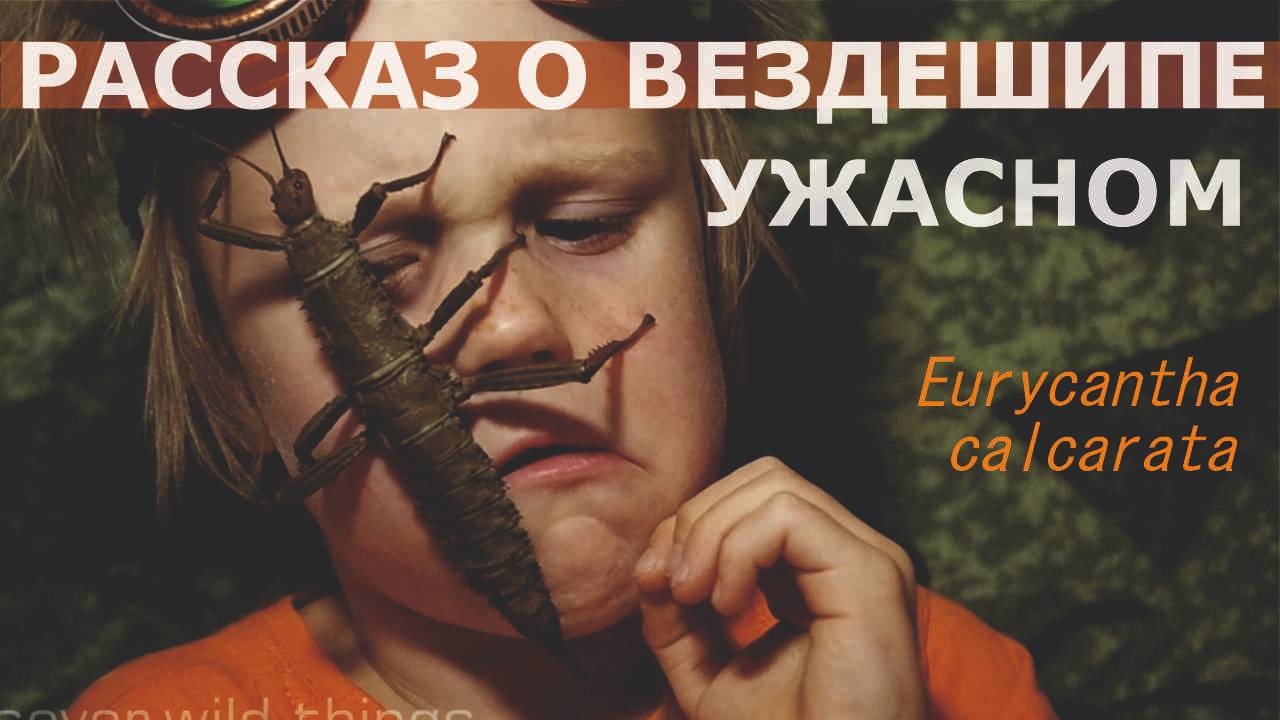 РАССКАЗ О ВЕЗДЕШИПЕ УЖАСНОМ