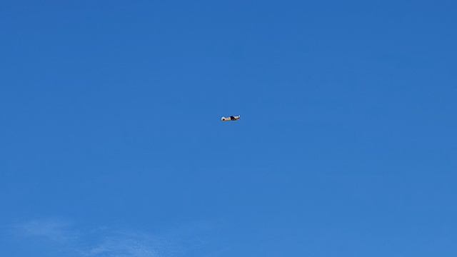 Кукурузник тоже залетел поздравить Сергея Есенина))