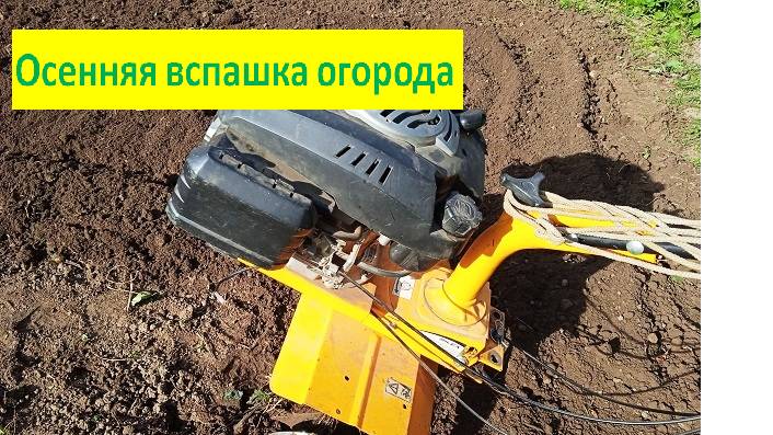 Осенняя вспашка культиватором: нужна ли она огороду