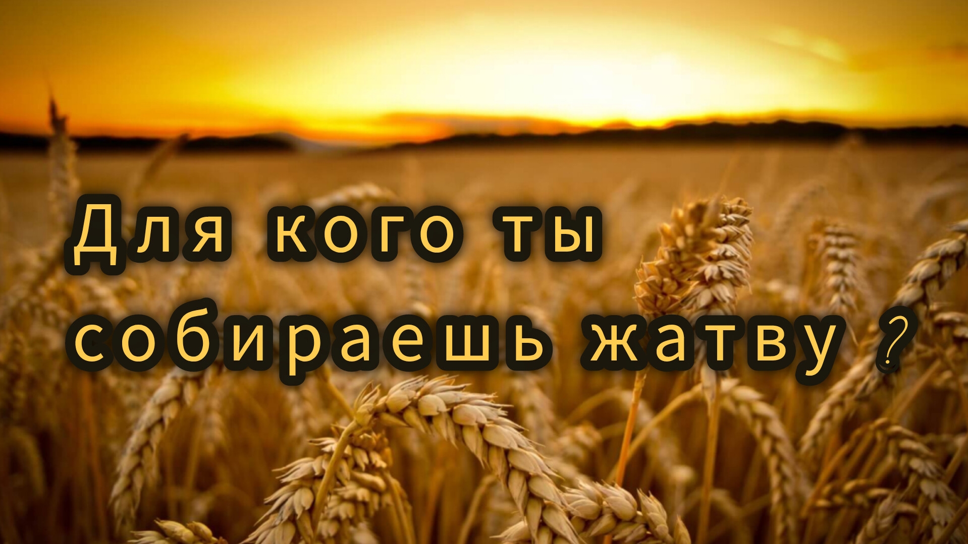"Для кого ты собираешь жатву?", проповедует Екатерина Петровна Облицева