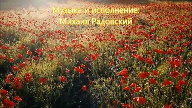 В зеркале жизни / In the mirror of life