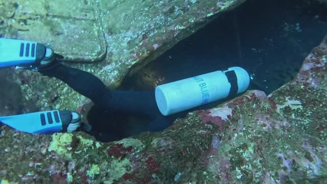 Абу нухас, Ghiannis d, wreck inside, рек дайвинг, дайвинг в Хургаде, дайвинг в Египте