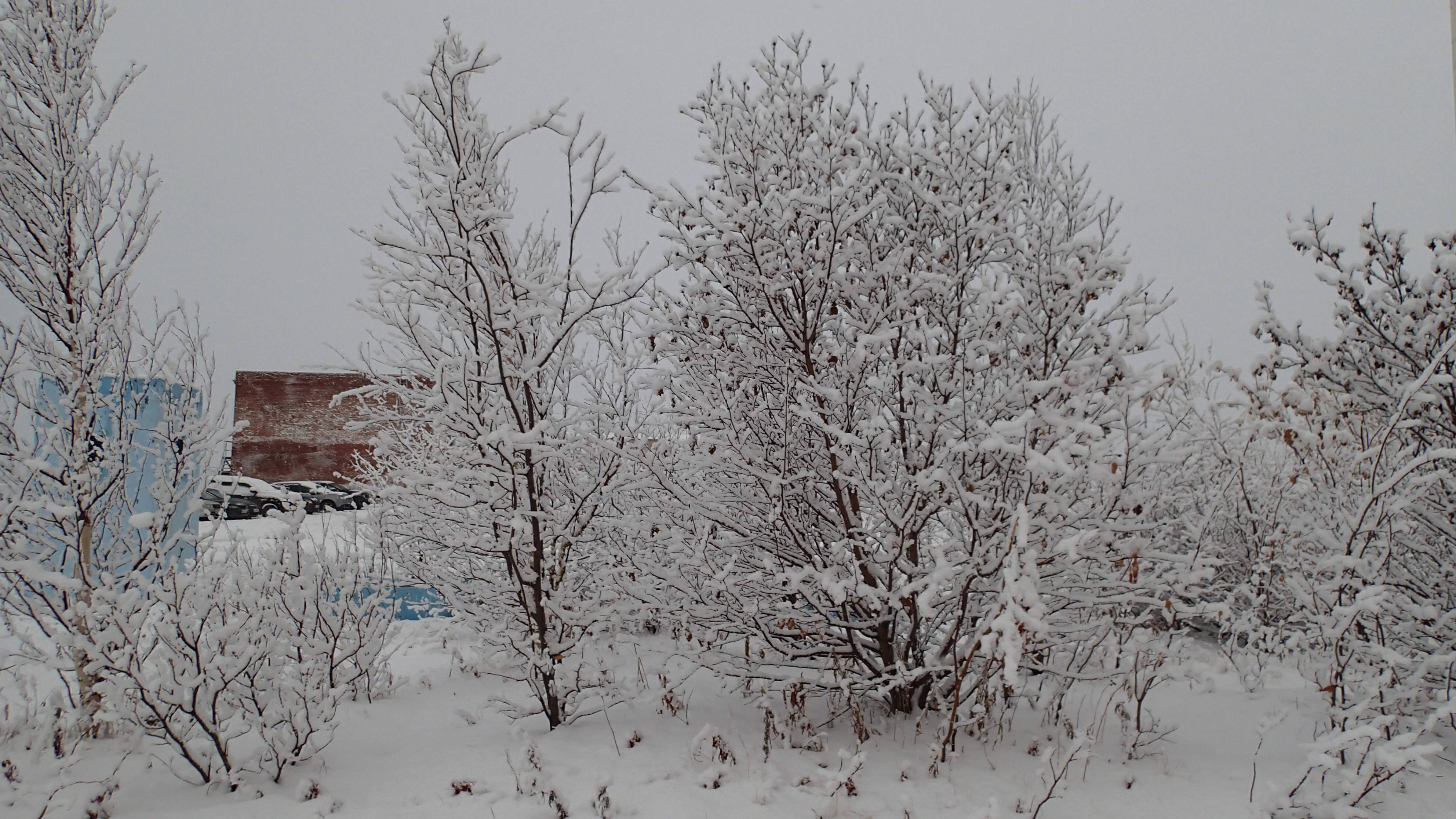 2025.10.02. Норильск. Снежные красоты лесотундры. Итоги декады в описании.