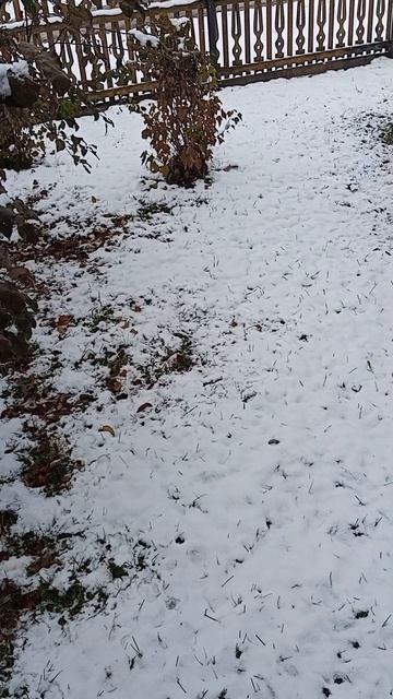 🌨️🥰 05 октября 2025 г 🤪