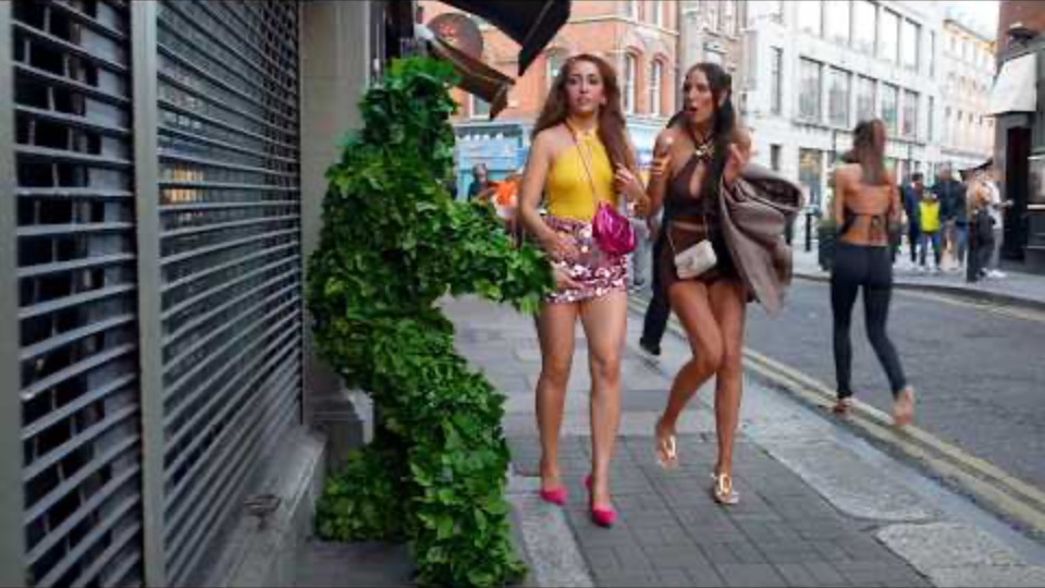 Crazy but Funniest Moments Bushman Prank