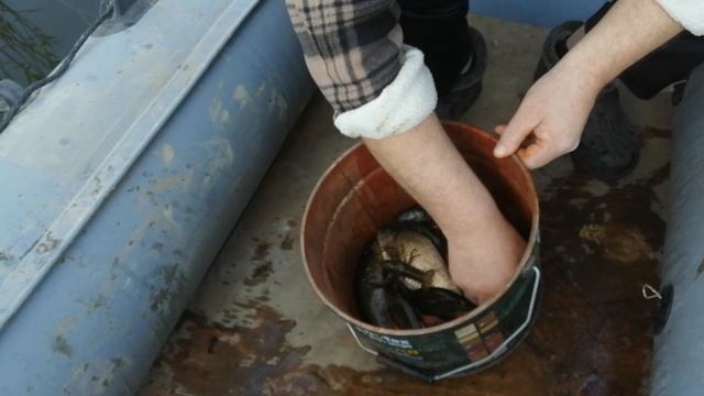 Где раки зимуют