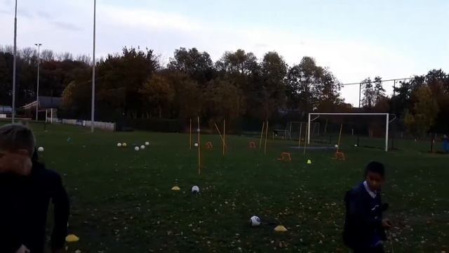 Senseball+Blazepod vision cognitive training