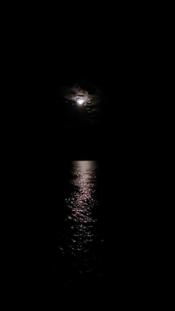 Ночное Чёрное море
