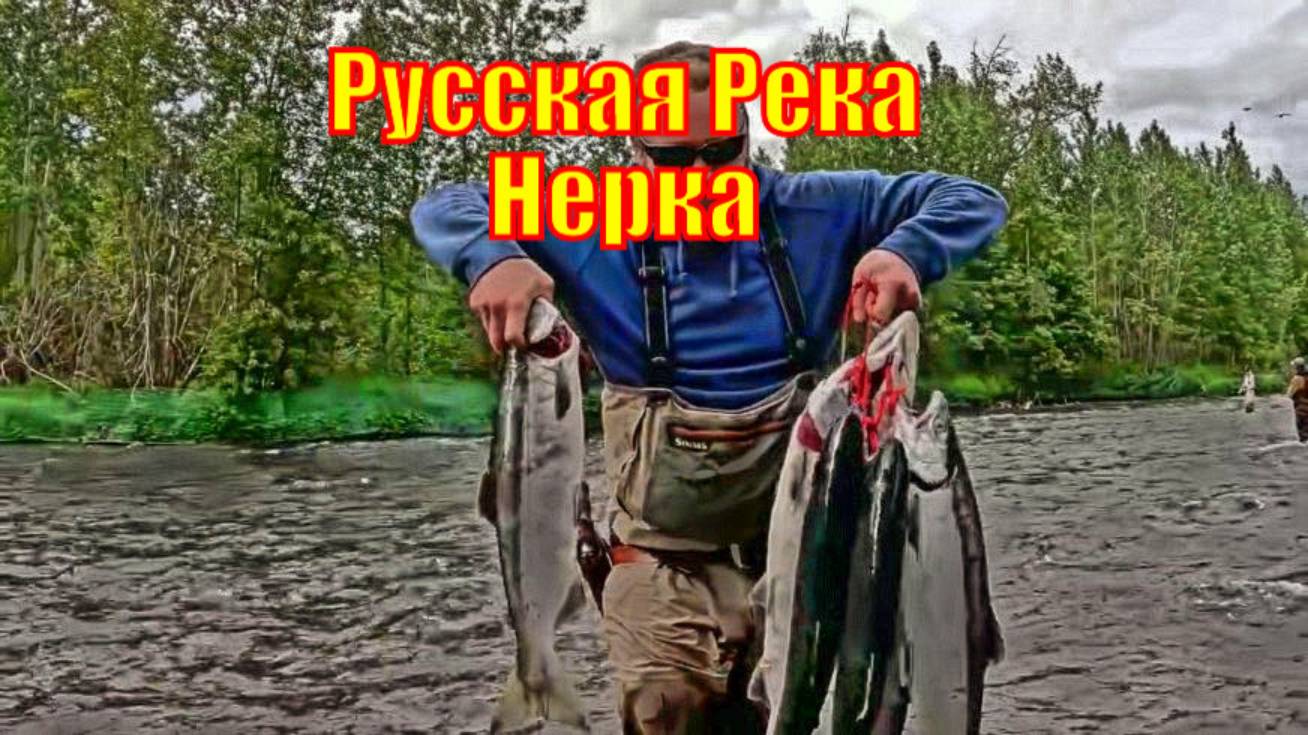 Русская Река Нерка