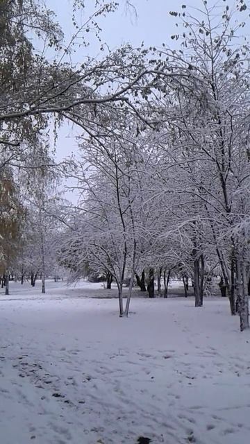 5 октября 2025