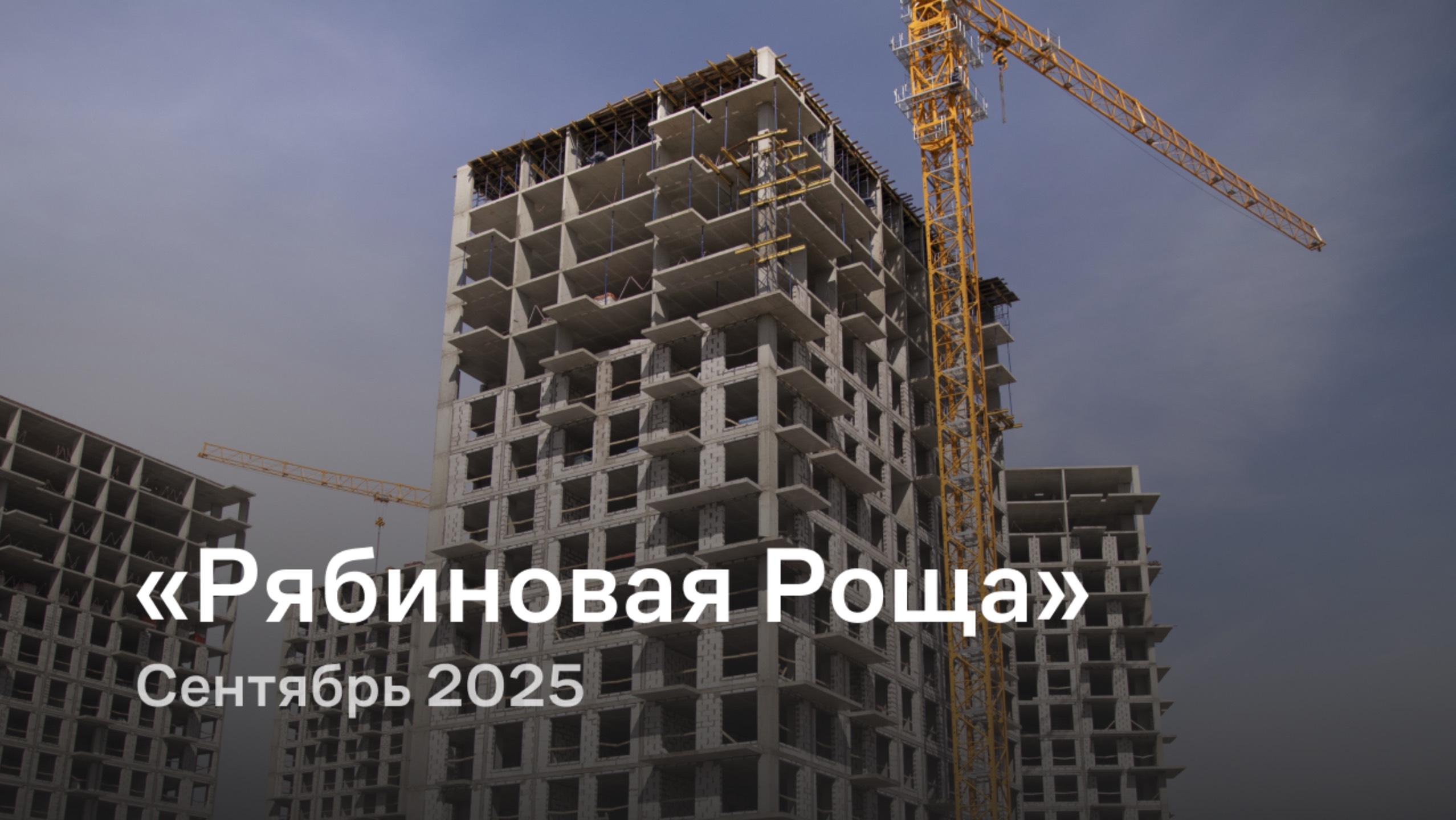 «Рябиновая Роща» / Сентябрь 2025