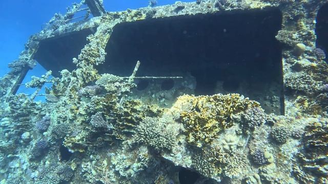 Абу нухас, Ghiannis d wreck, рек дайвинг, дайвинг в Хургаде, дайвинг в Египте