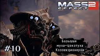 БОЛЬШАЯ МУХА-ЦОКОТУХА КОЛЛЕКЦИОНЕРОВ ➤ Mass Effect 2 #10