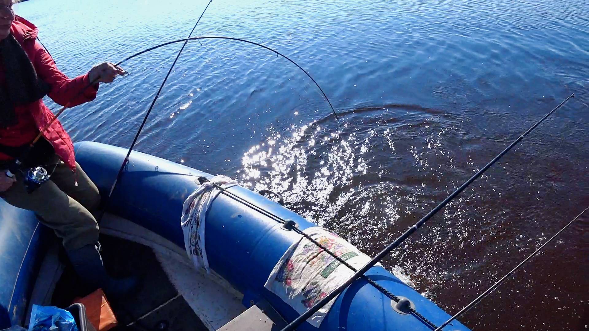 Щука на подергушки. Да что же это творится, а?!