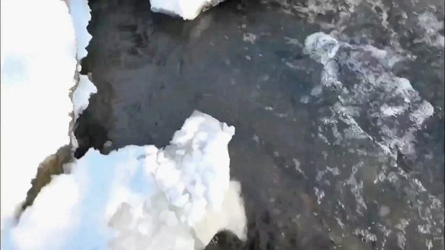 гора. родники, река