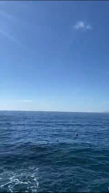 На Средиземным море Антальи, Турция, 9-я Персидская цивилизация. Наталья Гришаева. Мир Универсологии