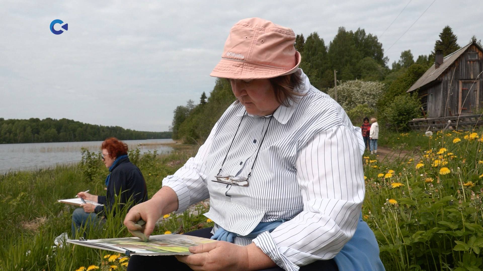 «Территория культуры» | Зарастание