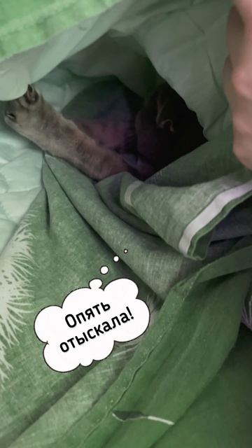 КошКомиксы. Серия 33 «Зима близко»