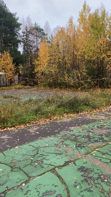 Баскетбольный корт ул. Лесная 1 ЗАТО Мирный Архангельской области.