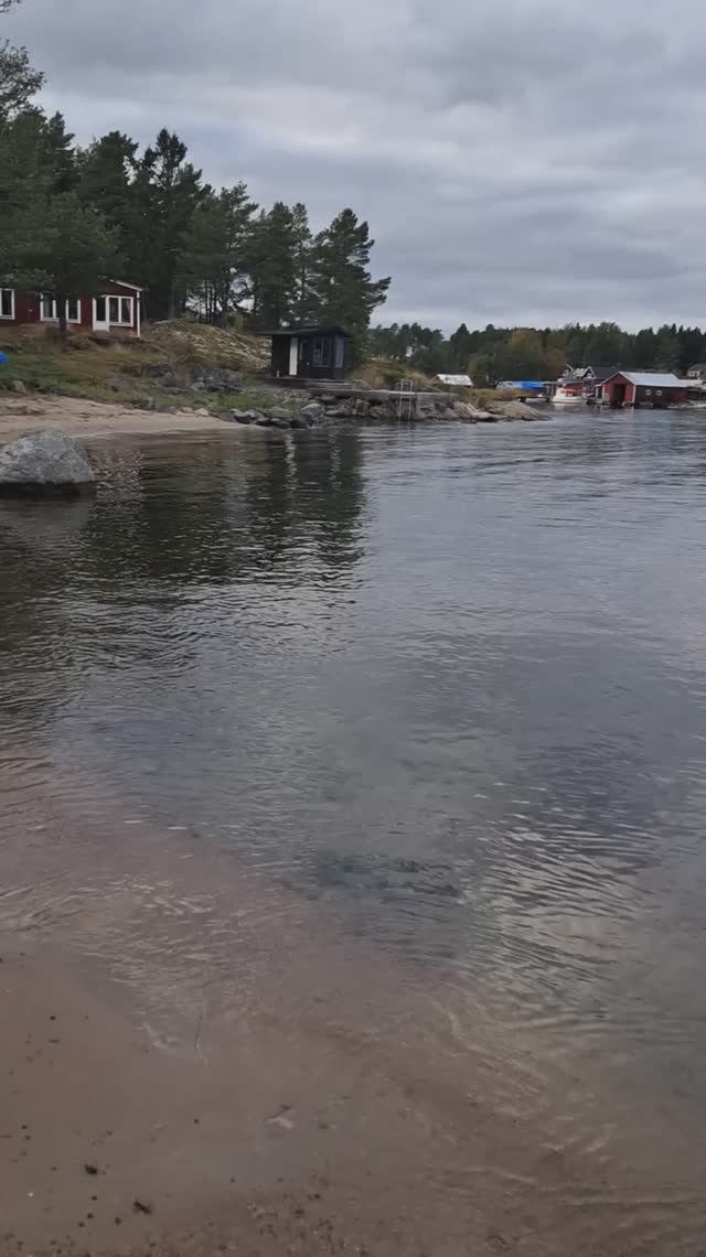 Осенний морской пляж в Швеции