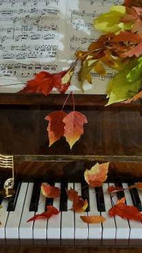 Для фортепьяно и страстей