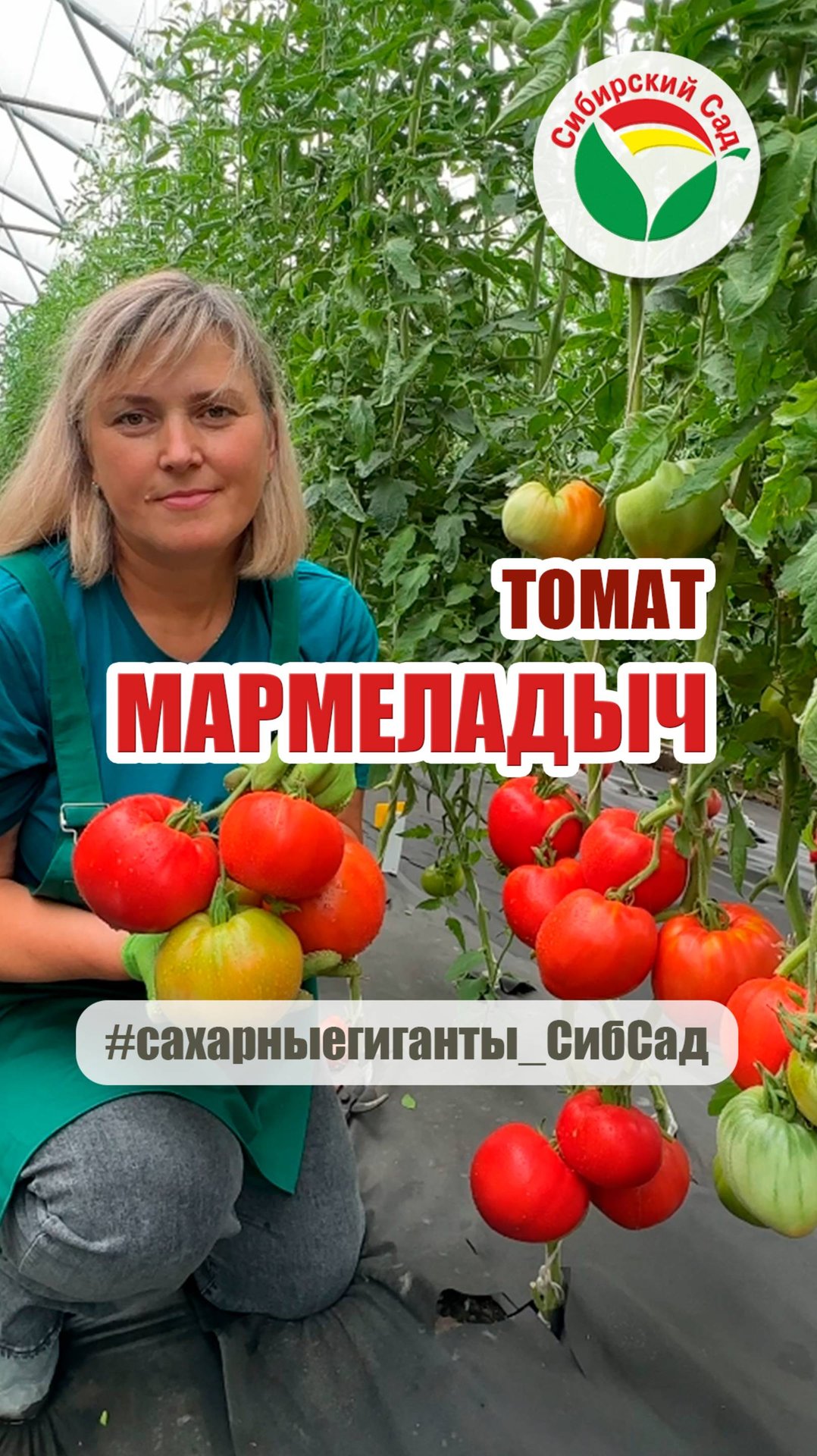 Томат Мармеладыч