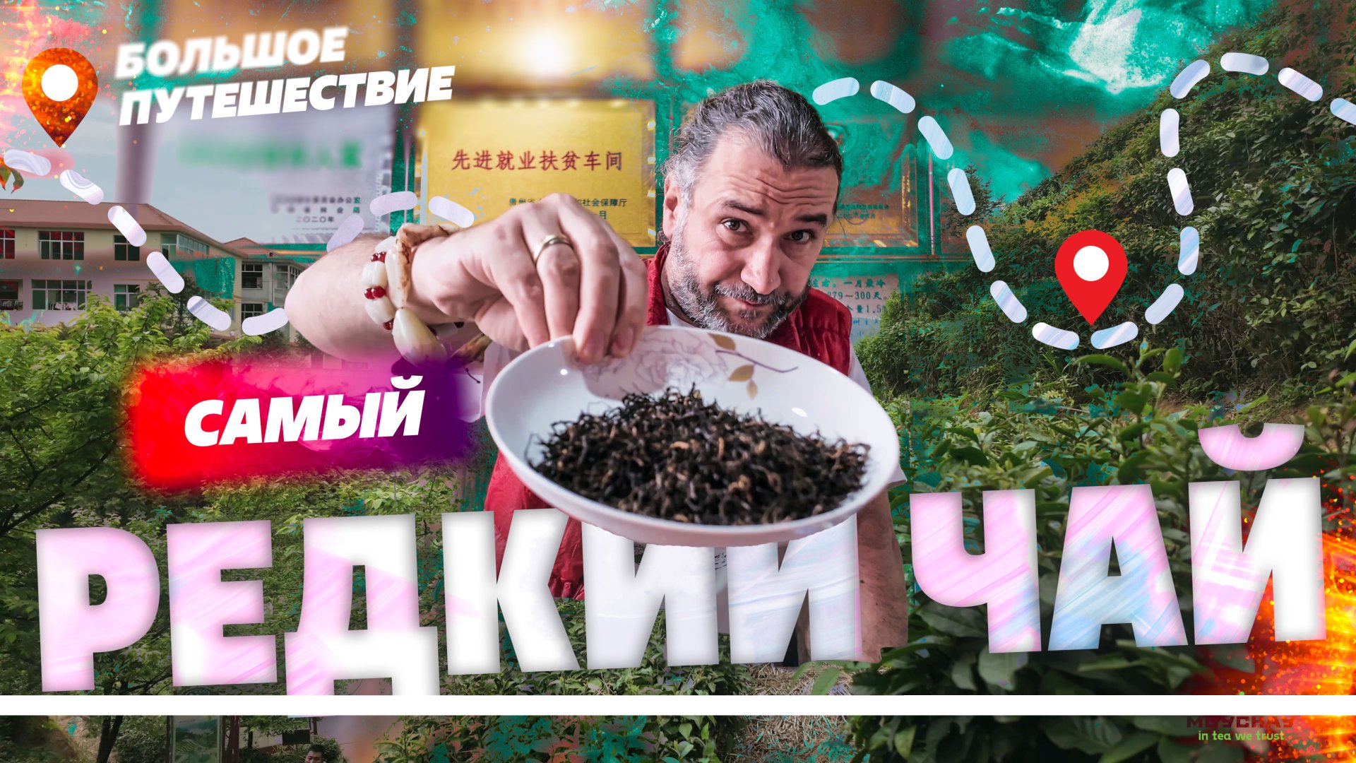 Дикий чай. Большое путешествие в поисках самого редкого чая!