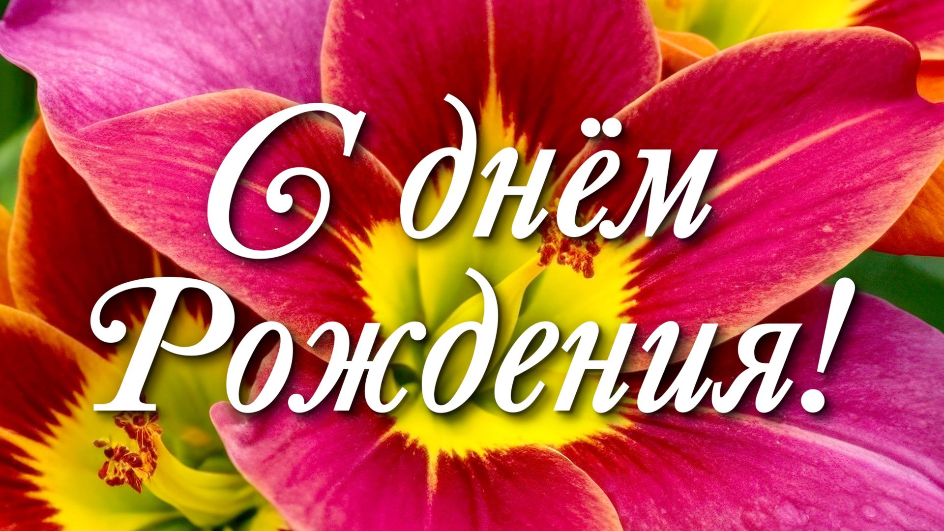 С ДНЁМ РОЖДЕНИЯ ! Шикарная песня! Самое красивое поздравление!