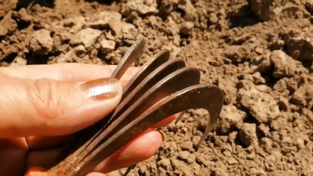 Мой неоценимый помощник