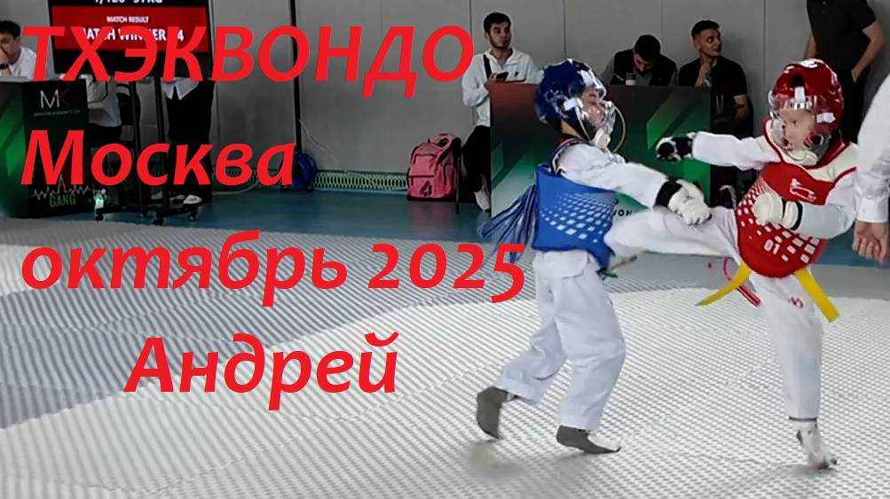 Тхэквондо Андрей 3 место Москва октябрь 25